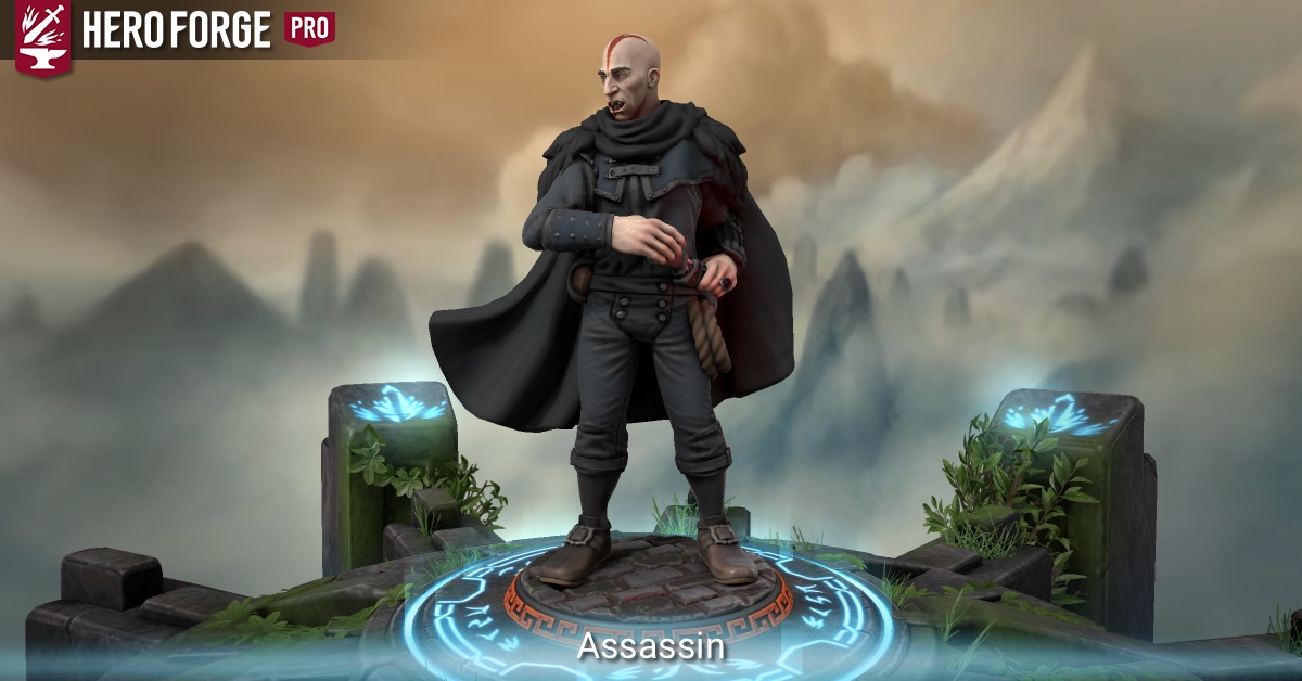 Assassin - made with Hero Forge